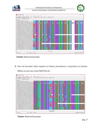 Uso del software mega dna | PDF