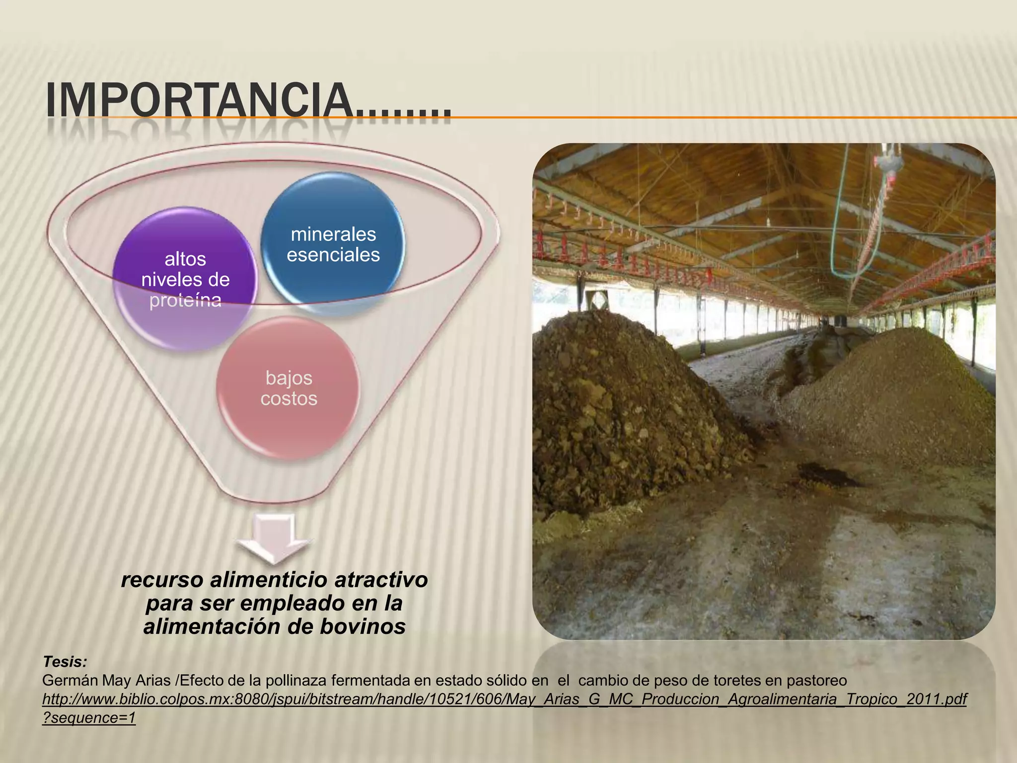 Uso de pollinaza en bovinos de carne | PPTX
