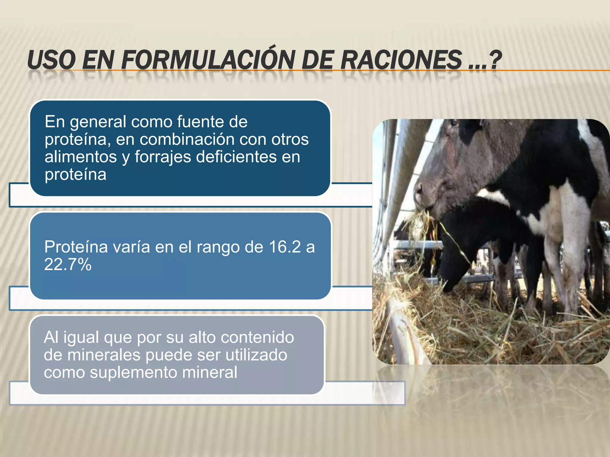 Uso de pollinaza en bovinos de carne | PPTX