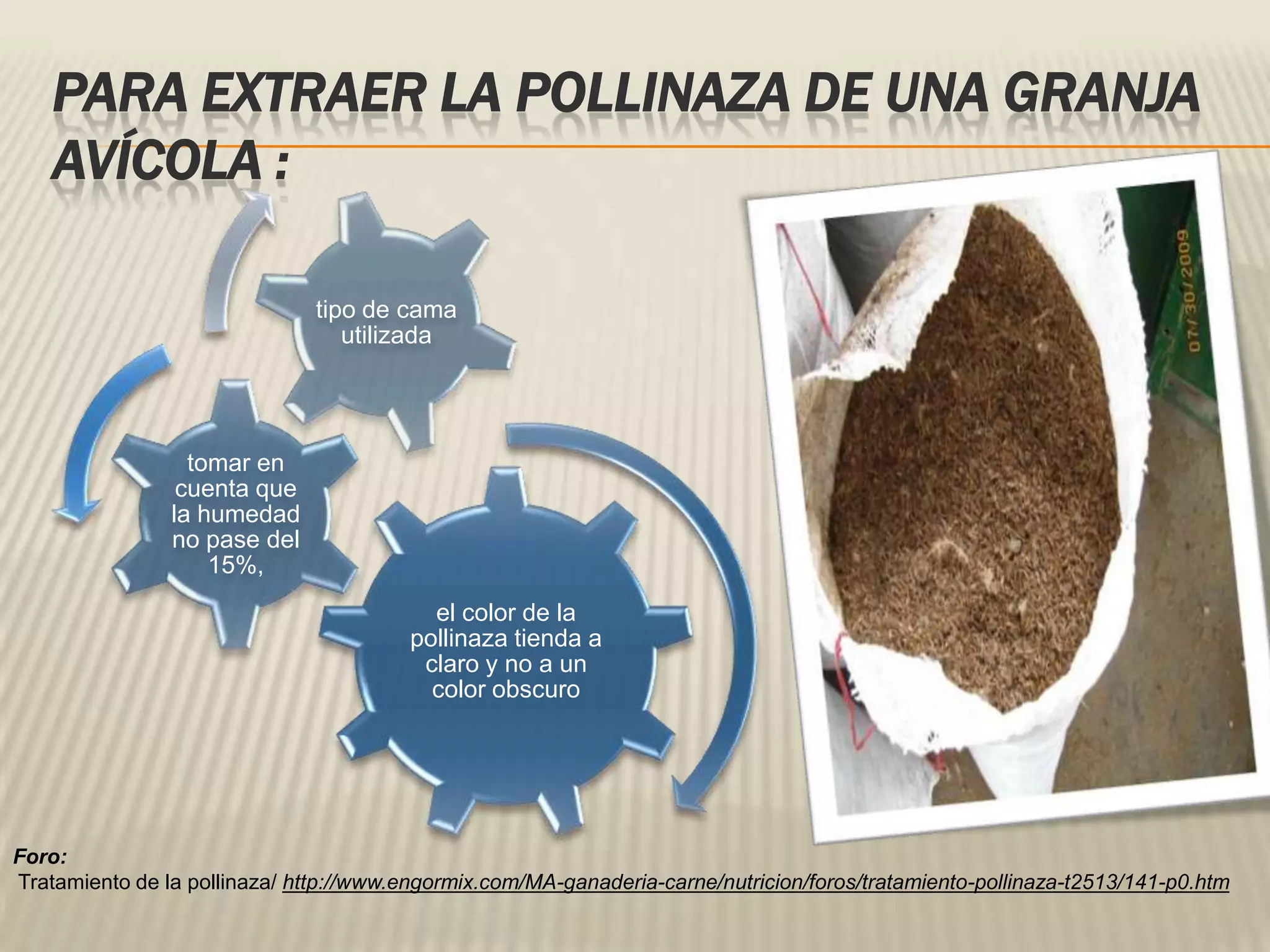 Uso de pollinaza en bovinos de carne | PPTX