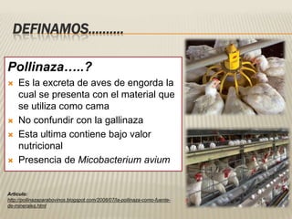 Uso de pollinaza en bovinos de carne | PPTX
