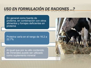 Uso de pollinaza en bovinos de carne | PPTX