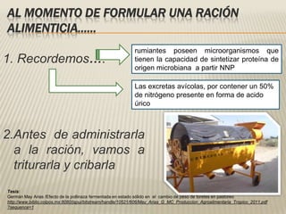 Uso de pollinaza en bovinos de carne | PPTX