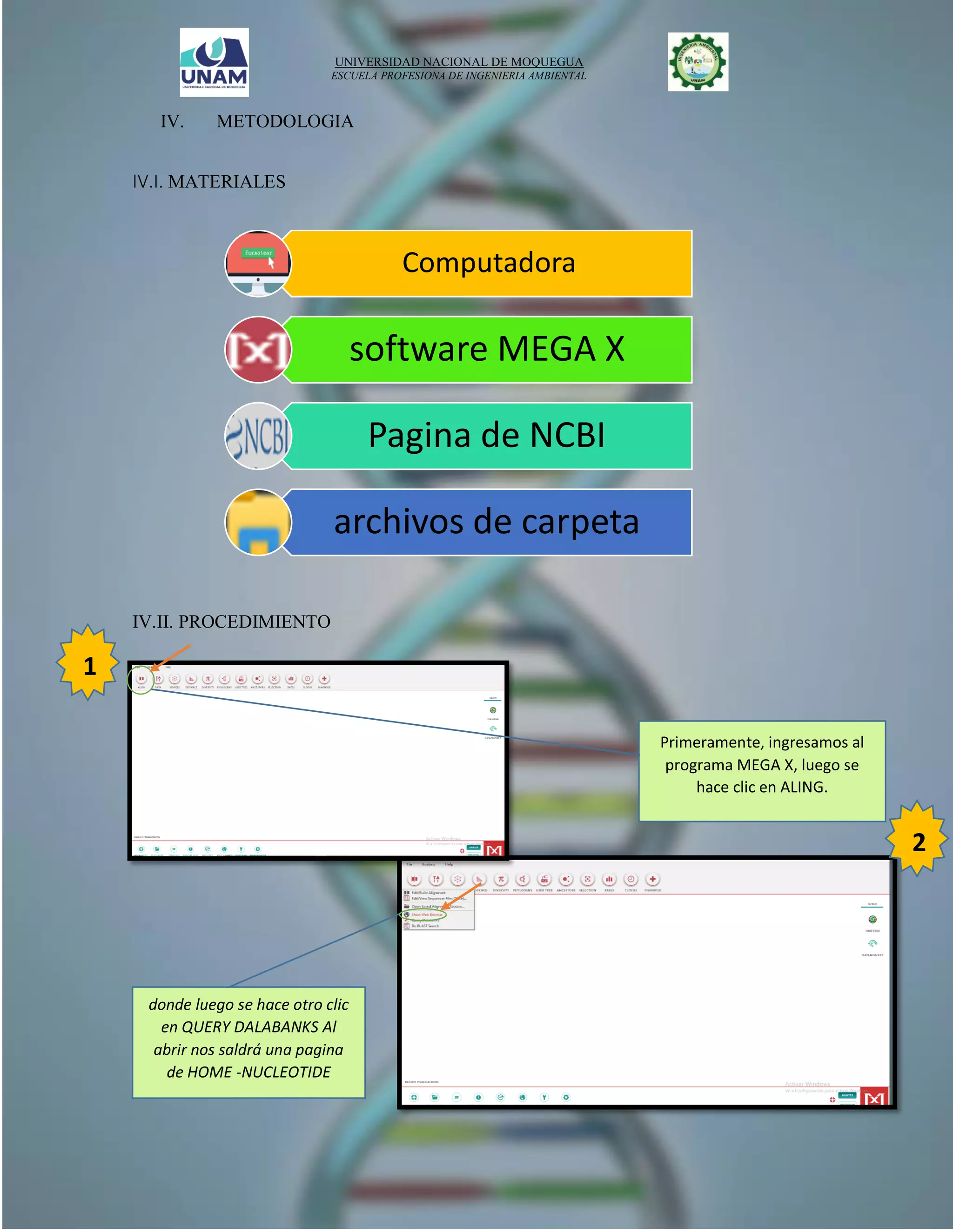Uso de softward de adn (mega x) | PDF