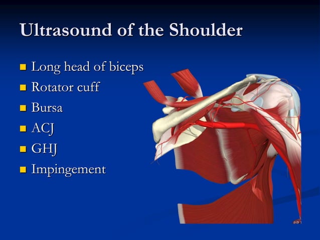 Post-graduate Certifcate Musculoskeletal Ultrasound - The Shoulder | PPT