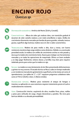 Usos De Madera (Semarnat) | PDF