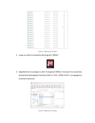 USO DE SOFTWARE MEGA PARA ALINEACIÓN DE SECUENCIAS DE DNA Y ...
