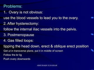 Ultrasonography of the ovary | PDF