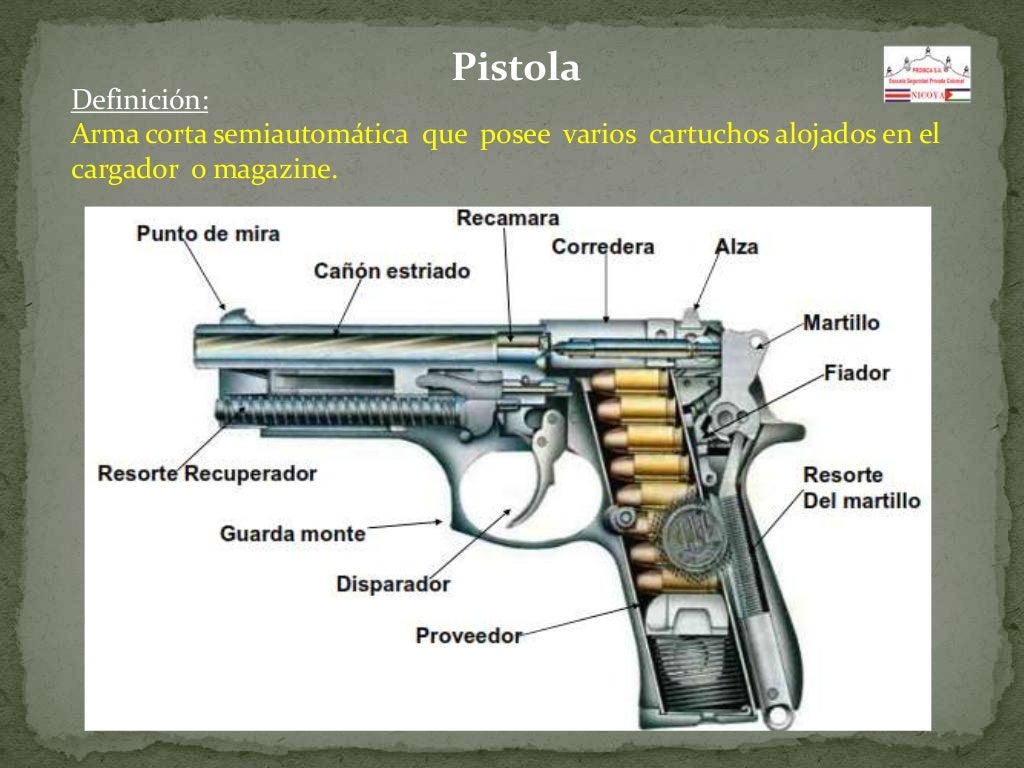 Uso Y Manejo De Armas De Fuego Proinca S A