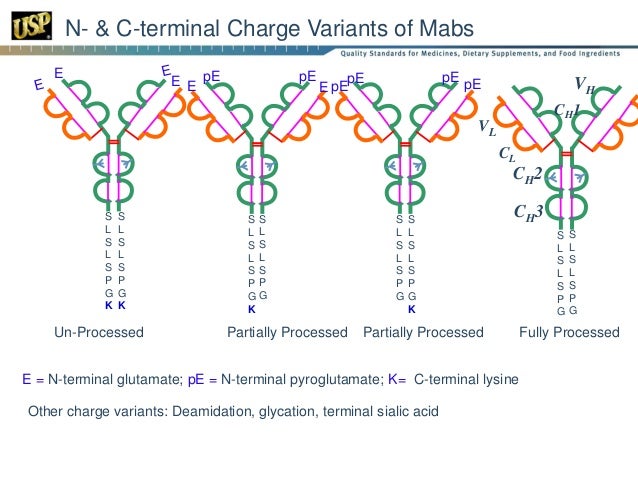 Usp biotherapeutics - biological medicines