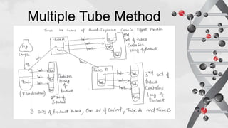 cUSP 2021-2022 Microbial Enumeration Tests for Nutritional and Dietary ...