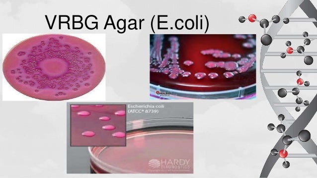 cUSP 2021-2022 Microbial Enumeration Tests for Nutritional and Dietar…