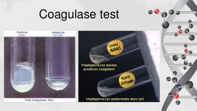 cUSP 2021-2022 Microbial Enumeration Tests for Nutritional and Dietar…