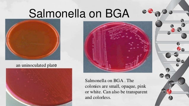 cUSP 2021-2022 Microbial Enumeration Tests for Nutritional and Dietar…