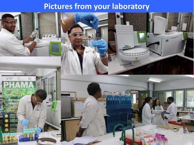 Item 6: Usp fiji laboratory presentation template | PPT | Chemistry ...