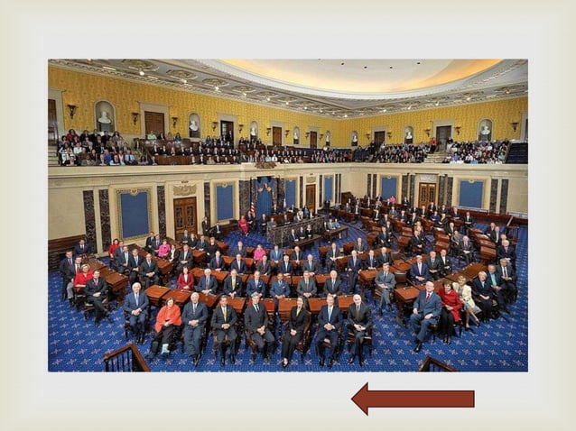 US political system | PPTX | Civic affairs | Politics