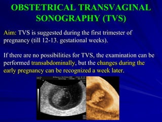 Ultrasound screening in pregnancy | PDF