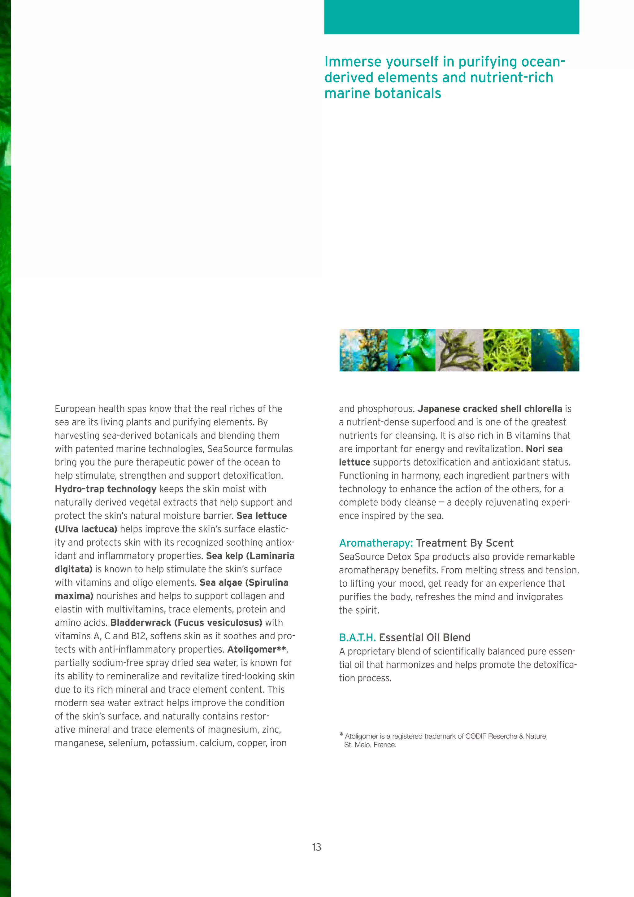 U Sea Source Brochure[1] | PDF