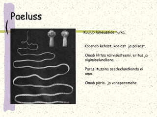 Ussmitmekesisus | PPT