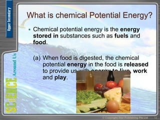Chemical Potential Energy In Food