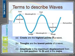 Module 4 chpt 2 Energy Transfer through Waves | PPTX
