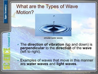 Module 4 chpt 2 Energy Transfer through Waves | PPTX