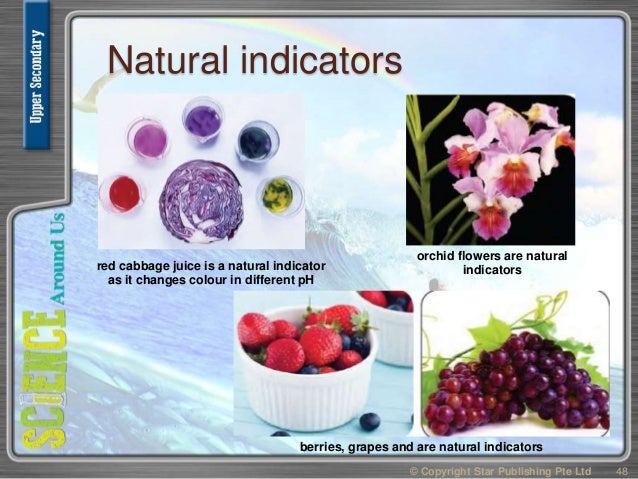 Uss module 5 chpt 7 Food Chemistry