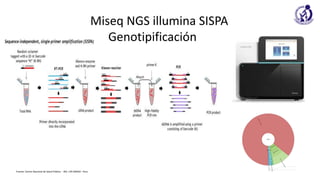 USST-7_FlujogramaTomaMuestra_ INS.pdf