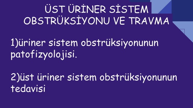 Ust uriner sistem patofizyolojisi | PPT