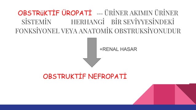 Ust uriner sistem patofizyolojisi | PPT