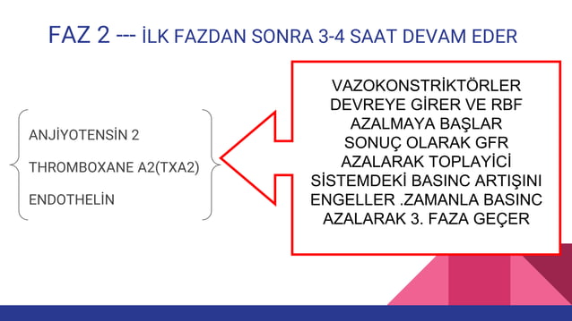 Ust uriner sistem patofizyolojisi | PPT