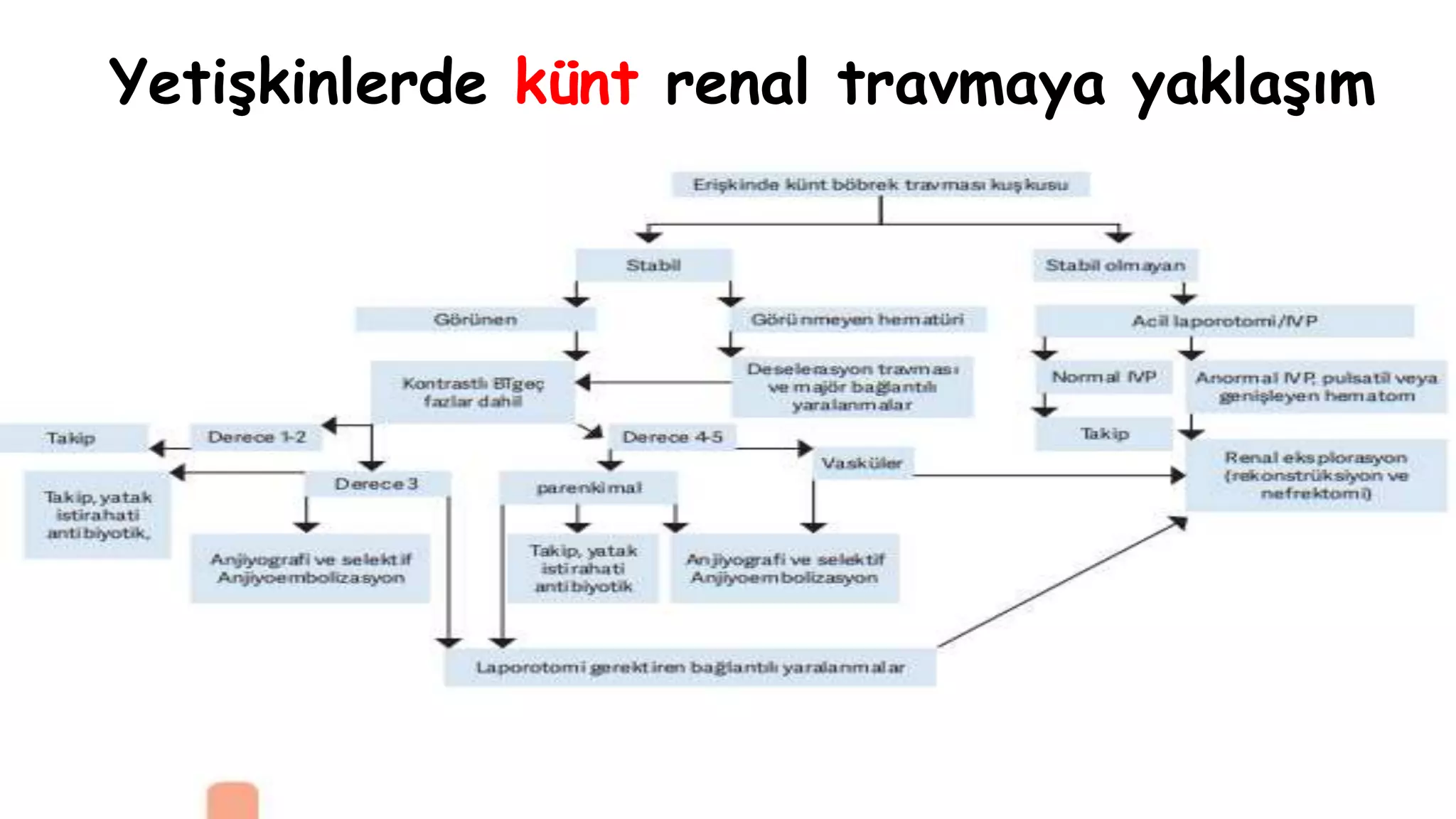 Ust uriner sistem travmalari | PPTX