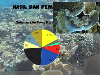 Kondisi dan Potensi Ekosistem Terumbu Karang di Wilayah Perairan Pulau ...
