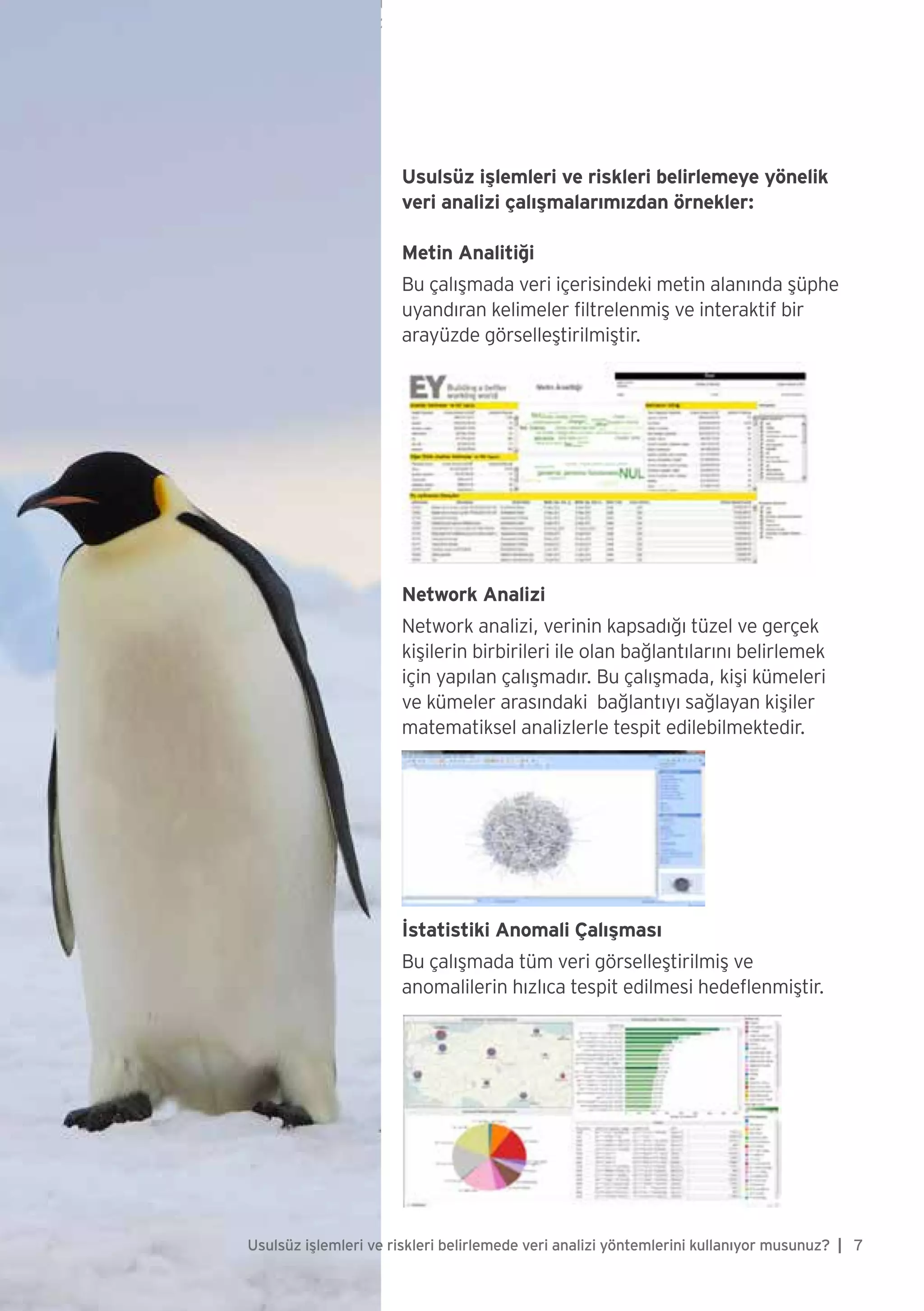 Usulsuzluk veri analizi_turkce | PDF