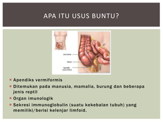 Usus-Buntu.ppt