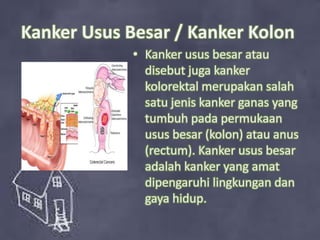 kelainan pada Usus besar | PPTX