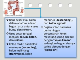 Usus besar vic | PPT
