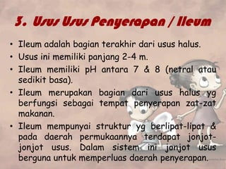 Usus halus | PPTX