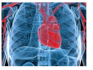 usv presentation.pptx | Dental Health | Diseases and Conditions