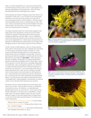 Gardening for Native Bees in Utah and Beyond | PDF