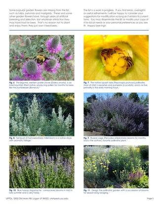 Gardening for Native Bees in Utah and Beyond | PDF