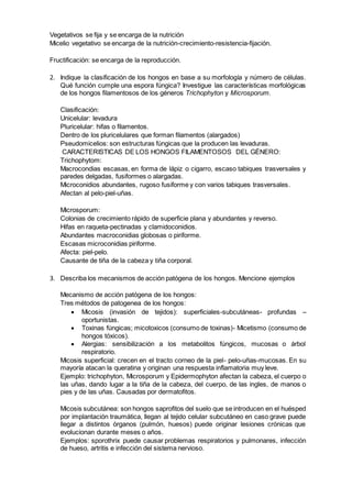 Ute 3 taller hongos resuelto | DOCX