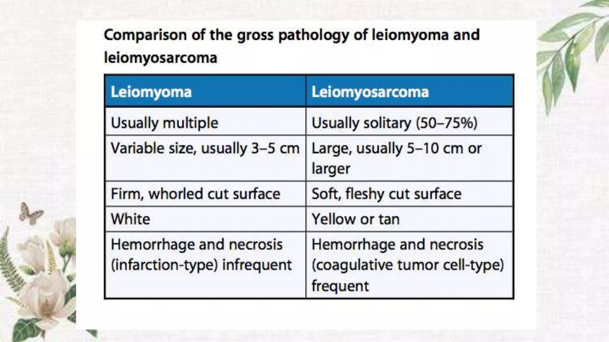 Uterine Sarcomas - Testing | PPT