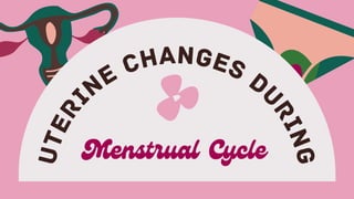 uterine changes during menstrual cycle.pdf