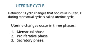 uterine cycle physiology and reproduction | PPTX