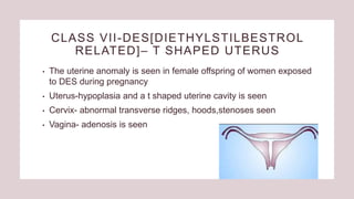 Uterine devlopment | PPT