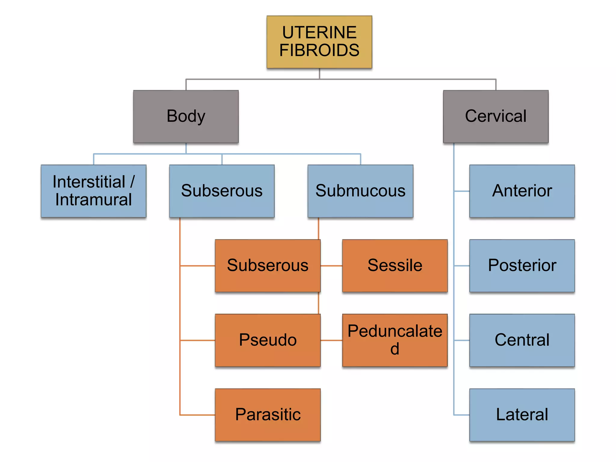 uterine fibroid.pptx