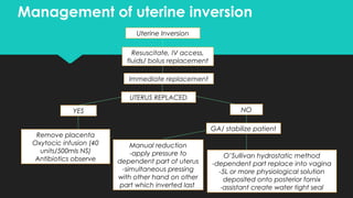 Uterine inversion & cord prolapse | PPT