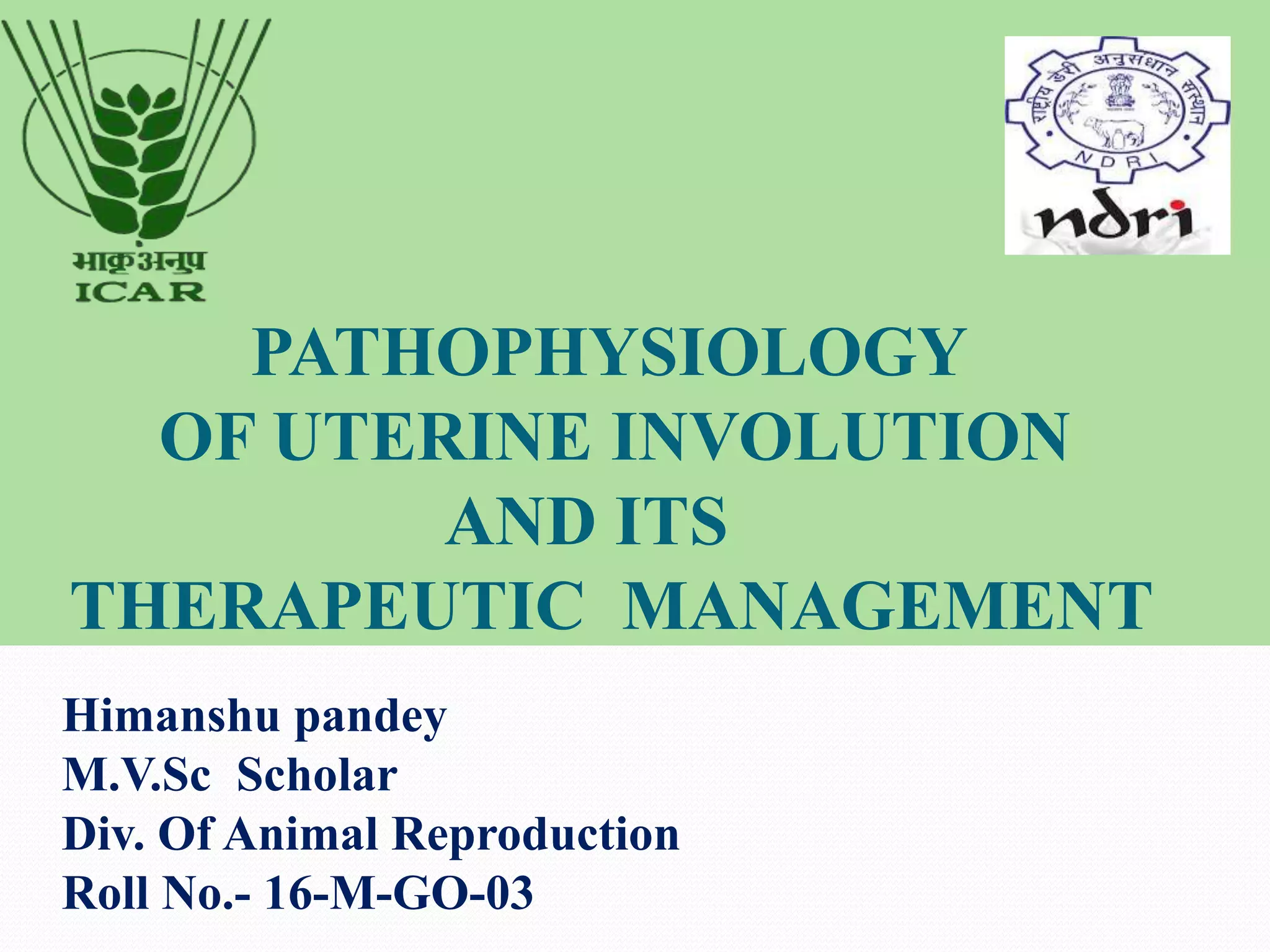 pathophysiology of uterine involution and its therapeutic management | PPTX