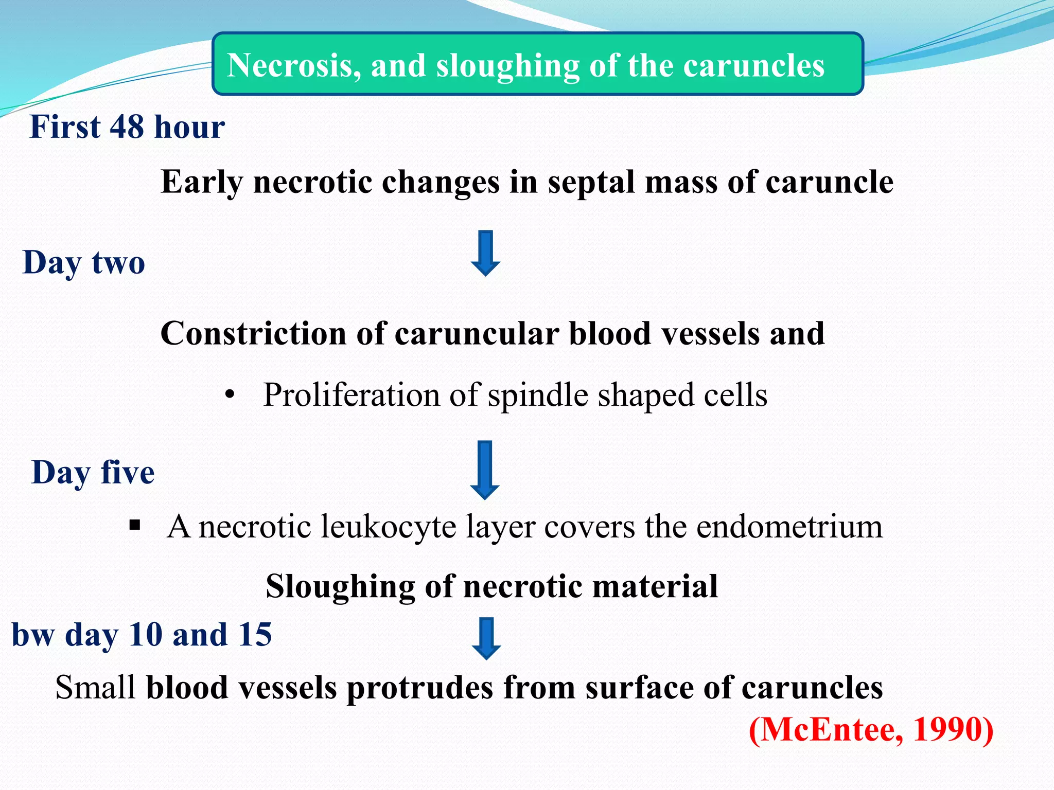 pathophysiology of uterine involution and its therapeutic management | PPTX